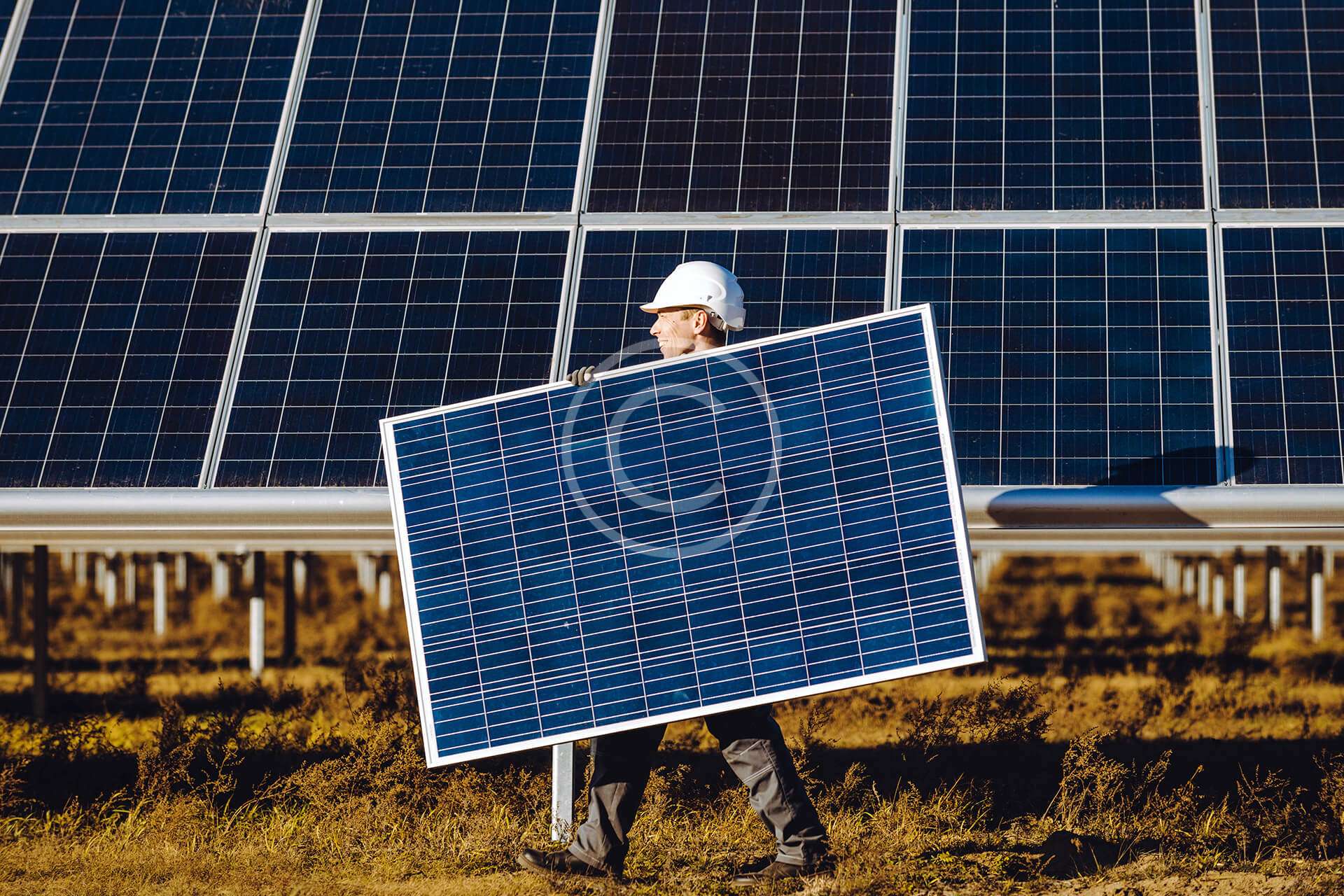 High Quality Panels - LaunchPad Business Development